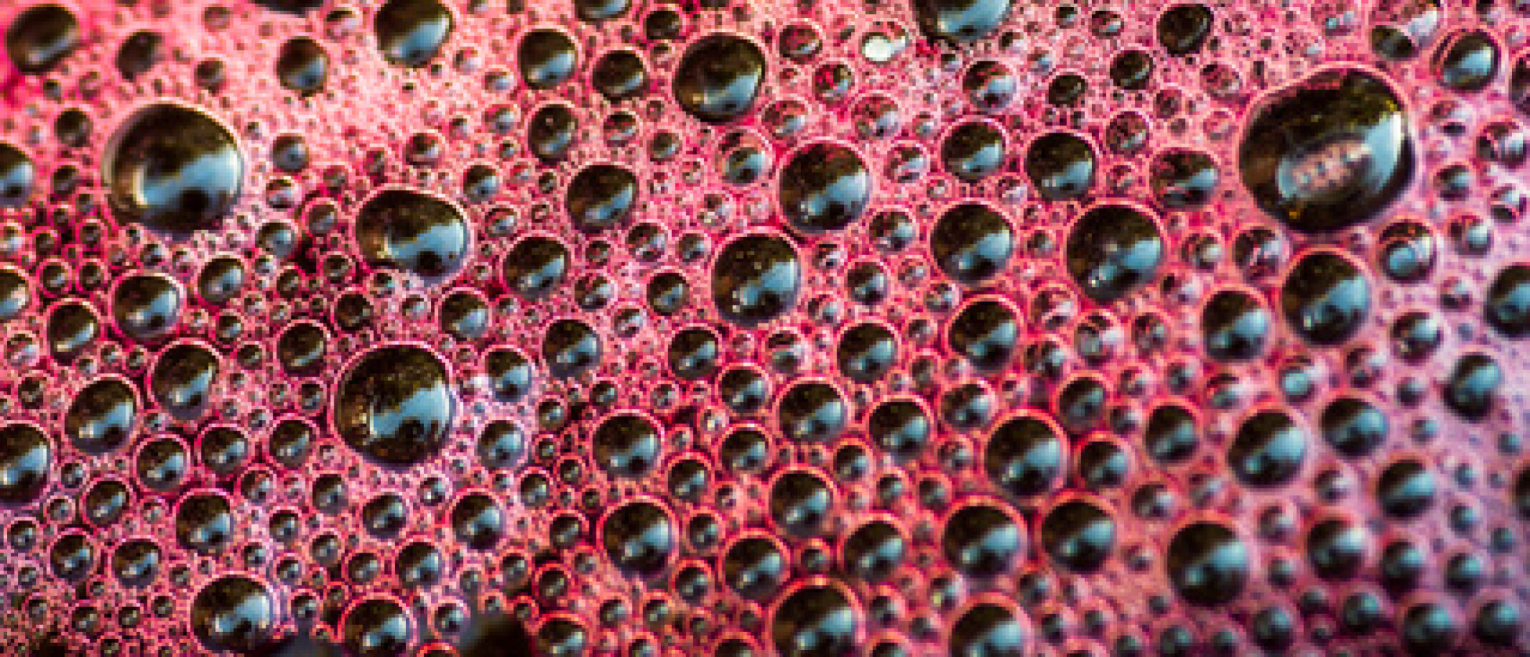 Malolactische gisting: van zuur naar zacht