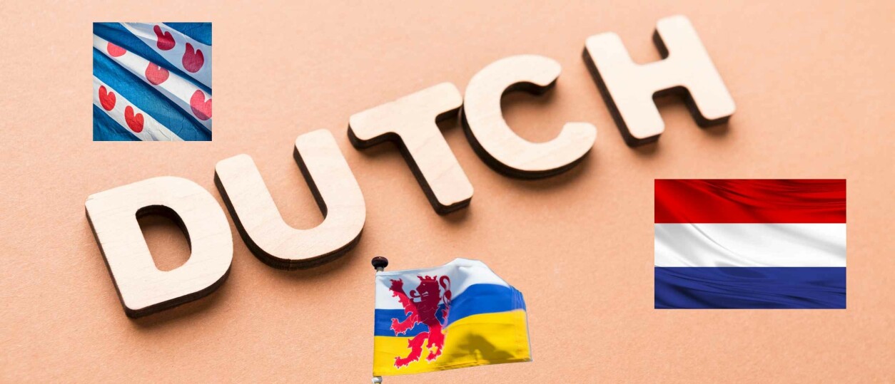 What Language in The Netherlands - A Complete Guide