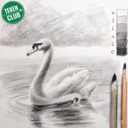 Live online tekenles met Lineke Lijn