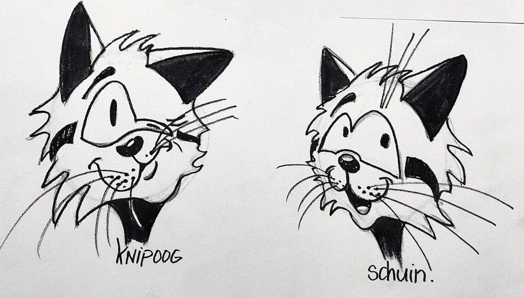 Gratis live tekenles met Lineke Lijn - cartoons tekenen