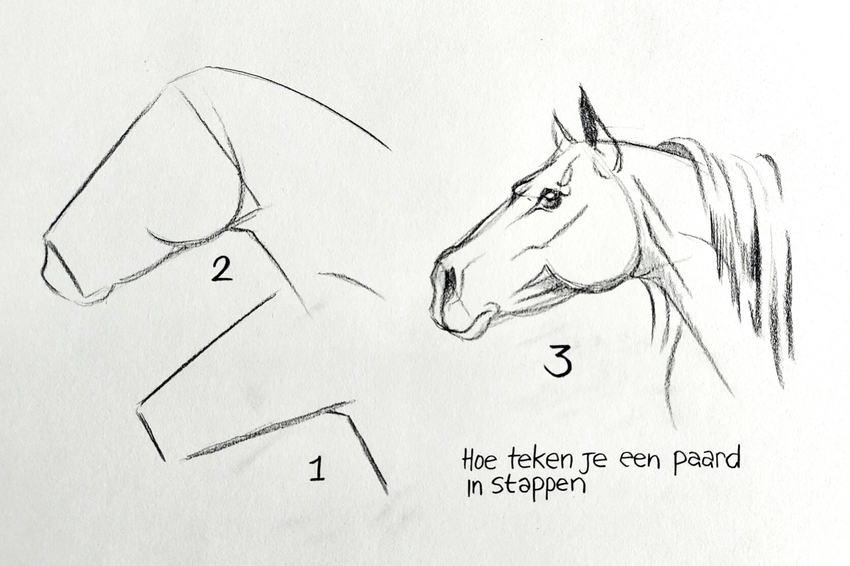 Gratis live tekenles met Lineke Lijn - kidsclub