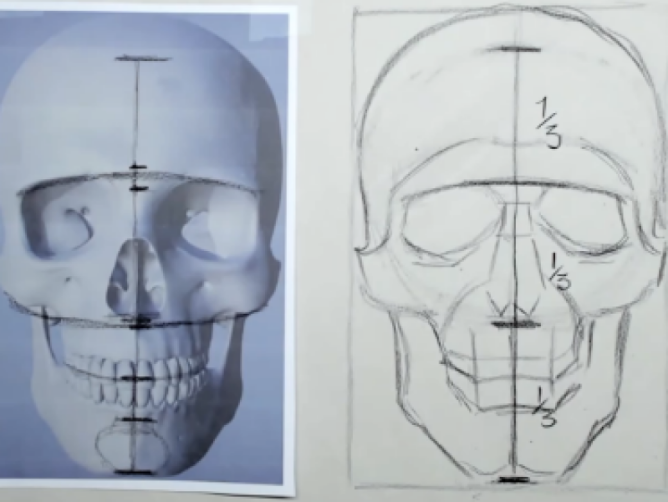 Cursus Portret ABC met Lineke Lijn bij Tekenclub.nl