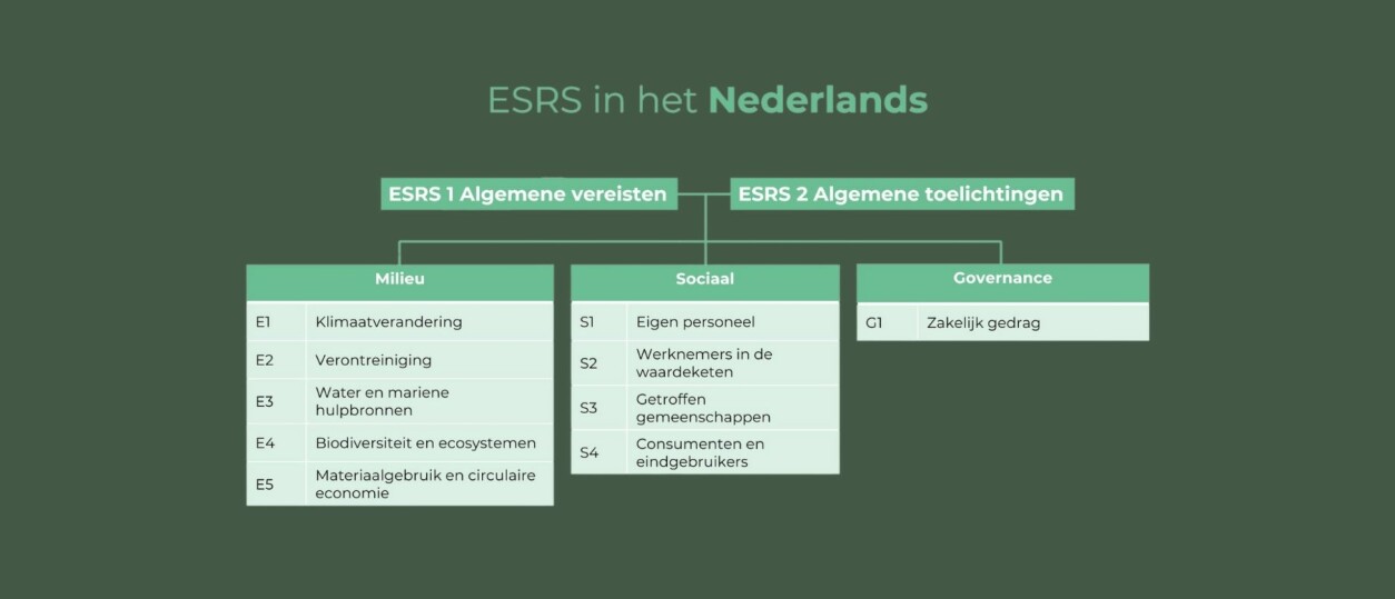 European Sustainability Reporting Standards (ESRS)