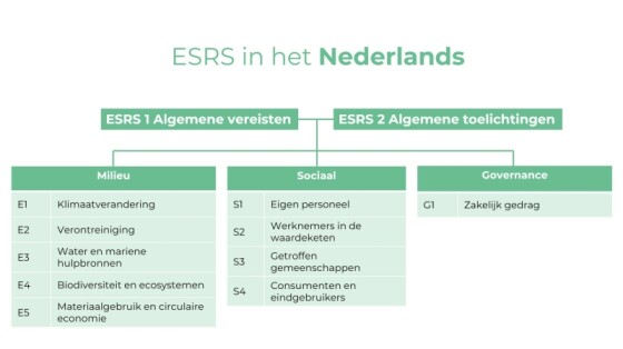 European Sustainability Reporting Standards (ESRS)