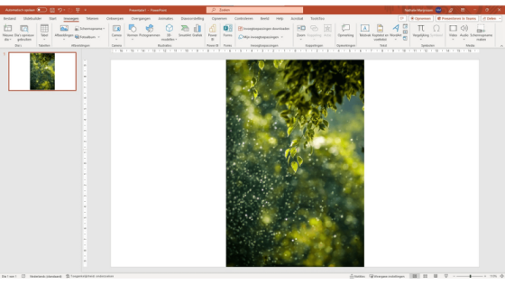 Afbeelding toevoegen aan PowerPoint