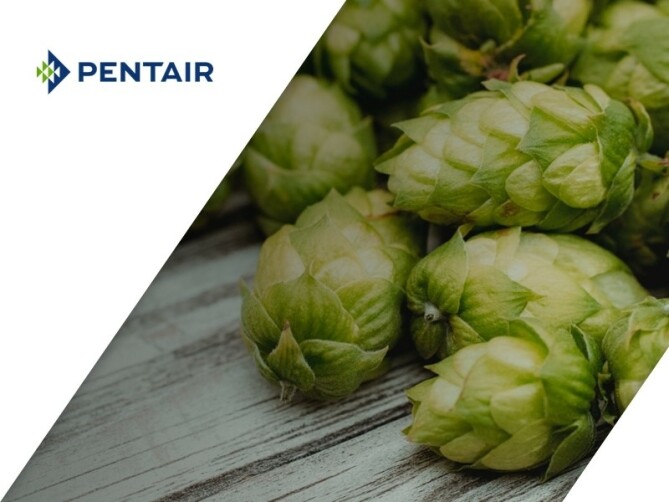 Inspirerende PowerPoint voorbeelden - PPT Solutions