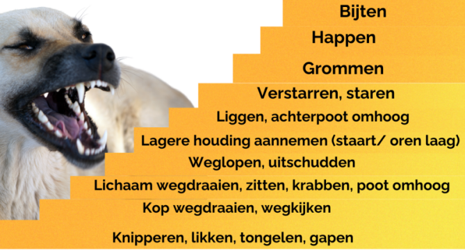 Hondentaal - agressieladder