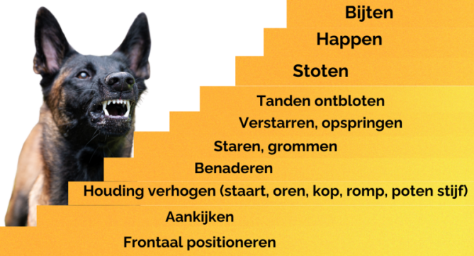 Hondentaal - agressieladder