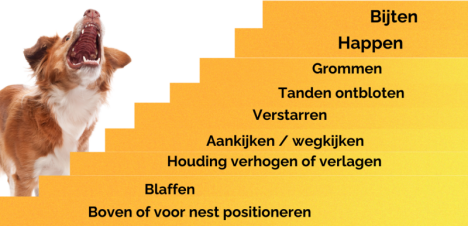 Hondentaal - agressieladder