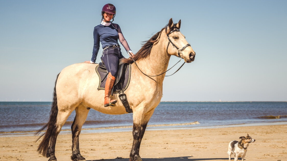 GET GOOD WITH HORSES by Zoë Coade