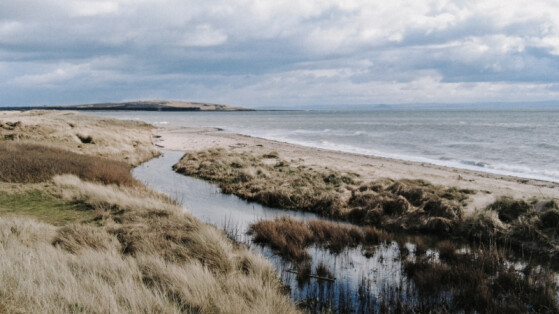 Kustwandelingen in Fife: 5 favorieten