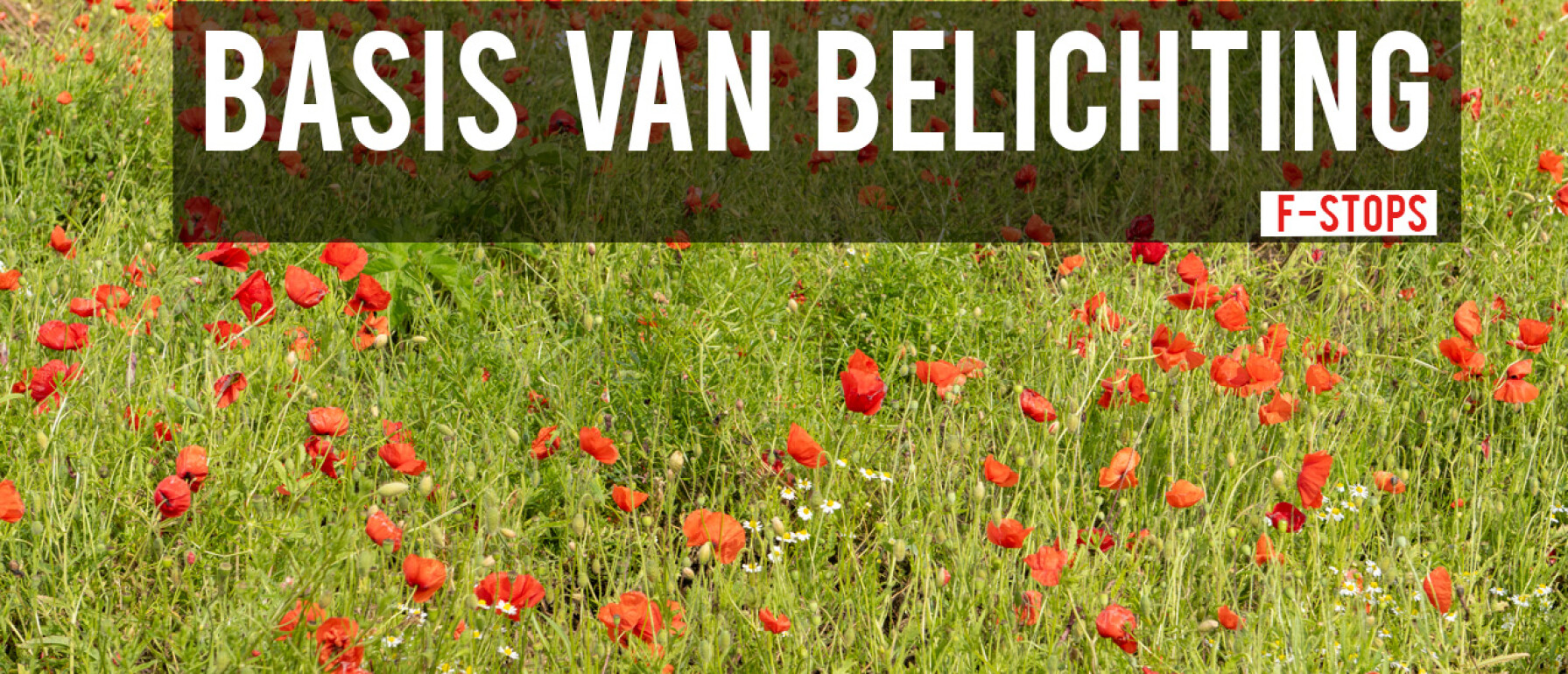 Raak niet verdwaald in F-getallen: Eenvoudige uitleg van Diafragma en Stops