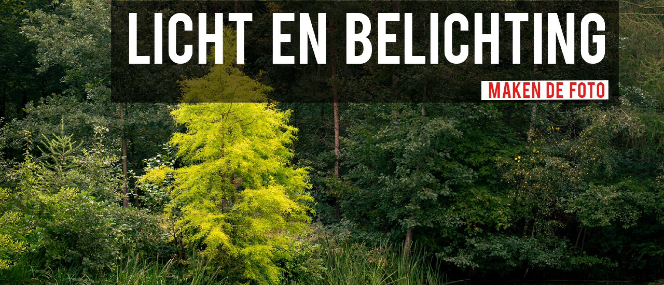 Belichting Beheersen: De Basis voor Succesvolle Fotografie als Beginner