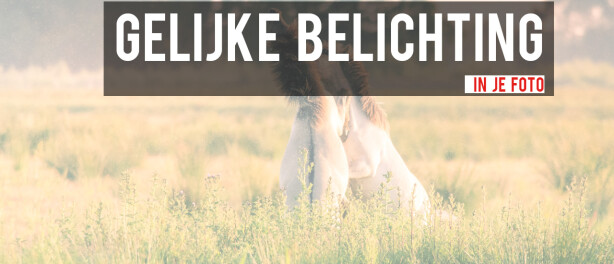 Begrijp de Lichtmeter van Je Camera voor een Perfecte Belichting