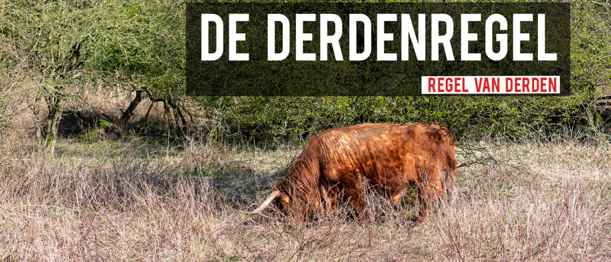 Balans en Compositie in Fotografie: De Regel van Derden Uitgelegd