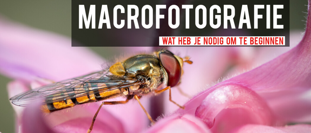 Macrofotografie tips