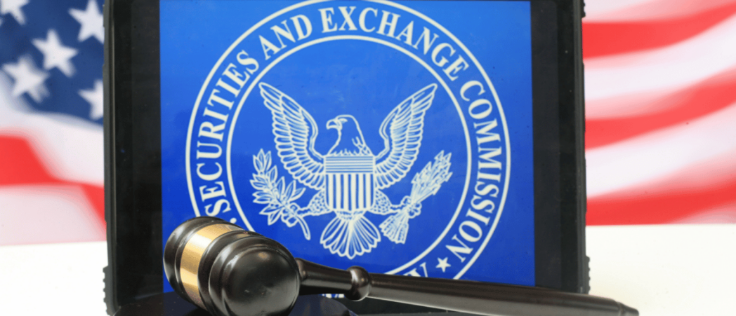 Securities & Exchange Commission (SEC) uitgelegd | Passief-Inkomen.nl