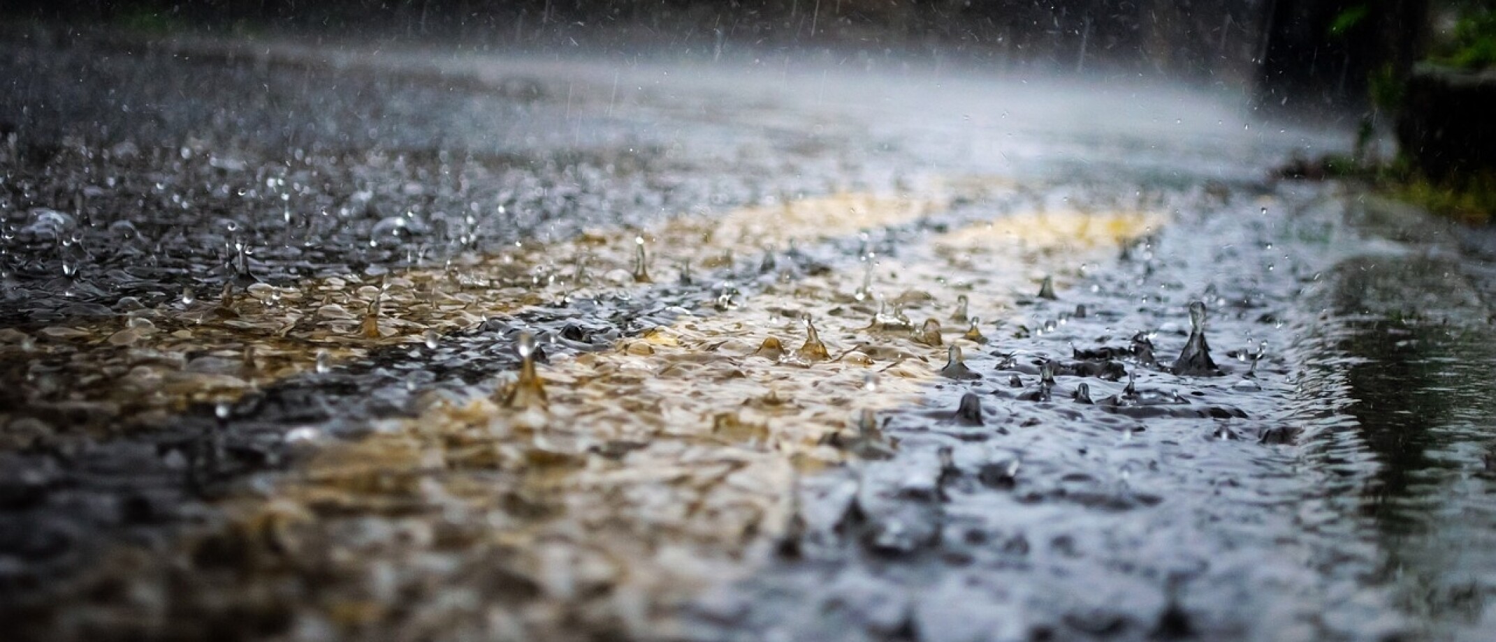 Natte grond in de tuin | Wat kun je doen? | Tips van Lepona