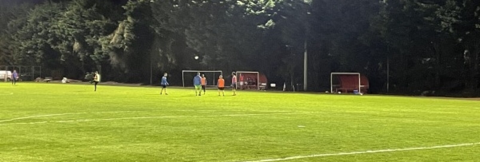 Frank Cooke Park - Tolka Rovers FC - Voetbalstadion.NET