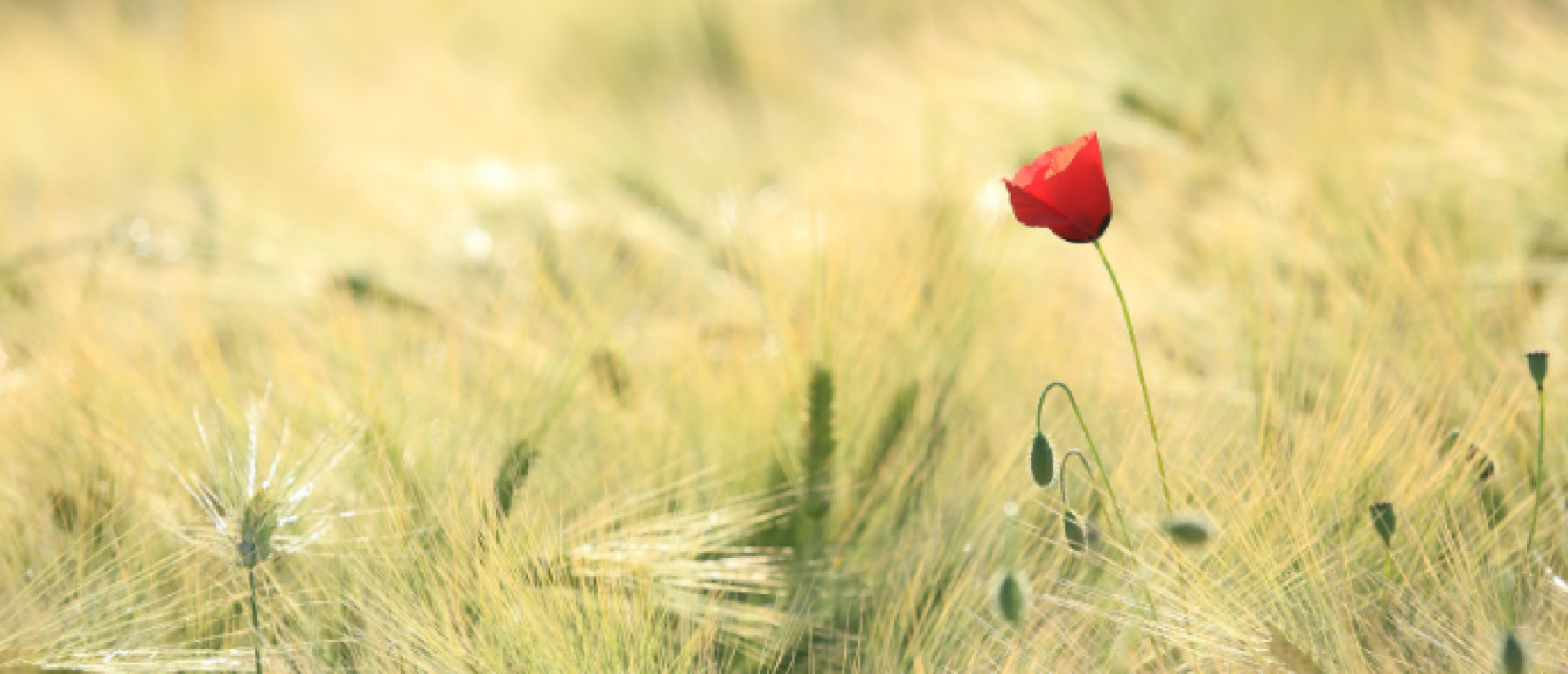 Een leeg gevoel van binnen