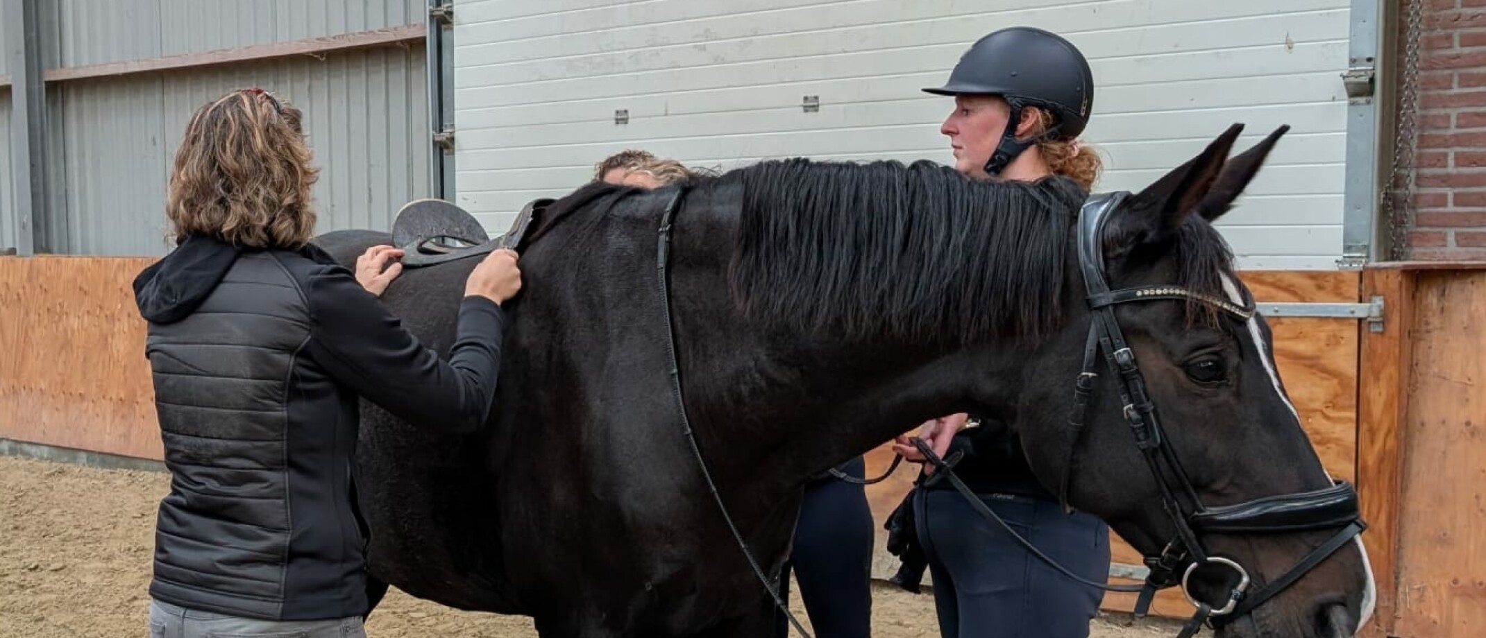 Het samenspel tussen ruiter, paard en zadel: inzichten van een ...