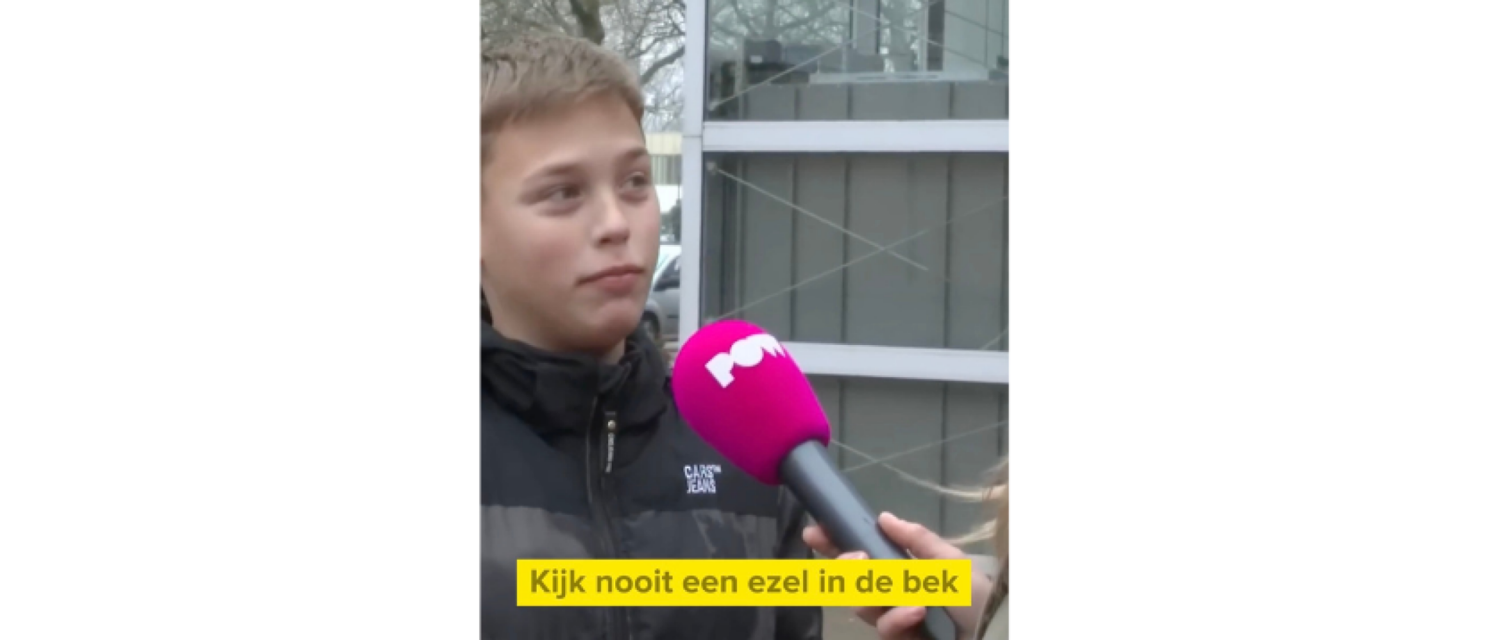 Kijk nooit een ezel in de bek