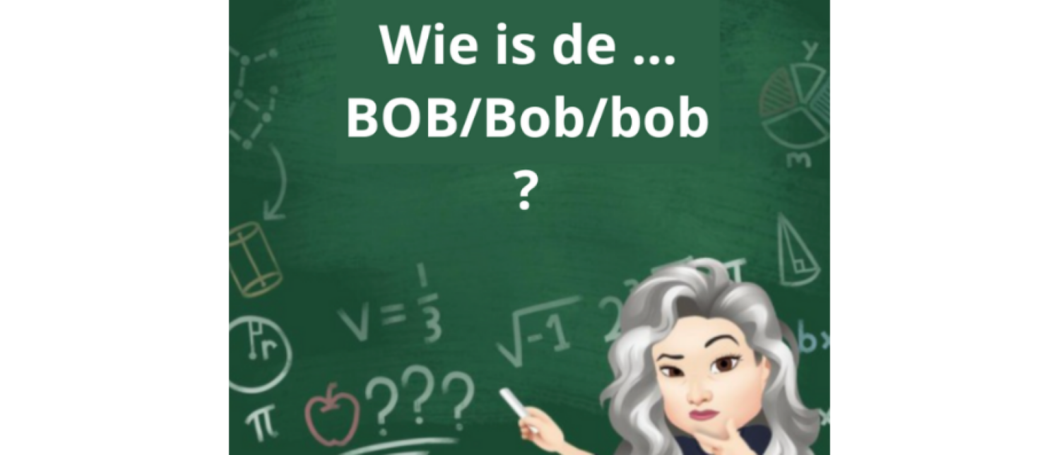 Wie is de Bob/Bob/bob?