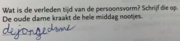 Wat is een persoonsvorm