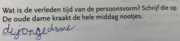 Wat is een persoonsvorm