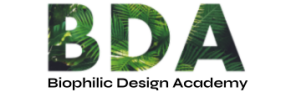 Biophilic Design Academy – Versterk je Connectie met de Natuur