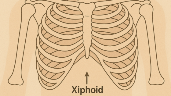 Alles wat je moet weten als je last heb van je xiphoid