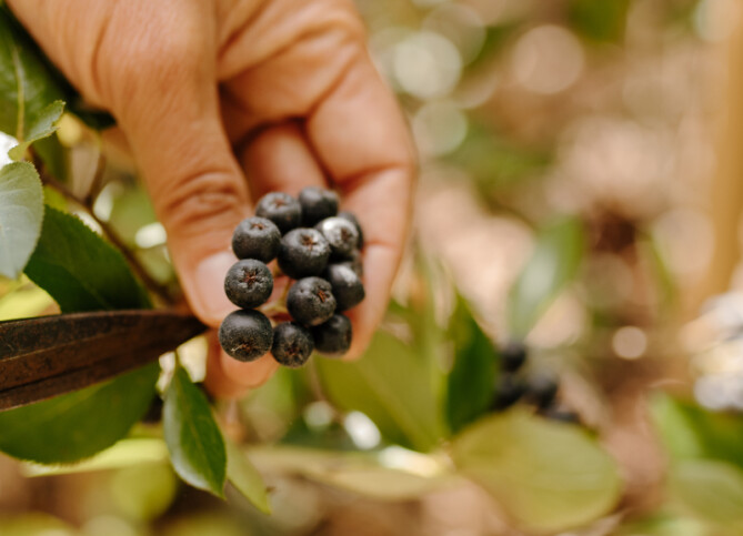 Zelfvoorzienend leven en geld besparen