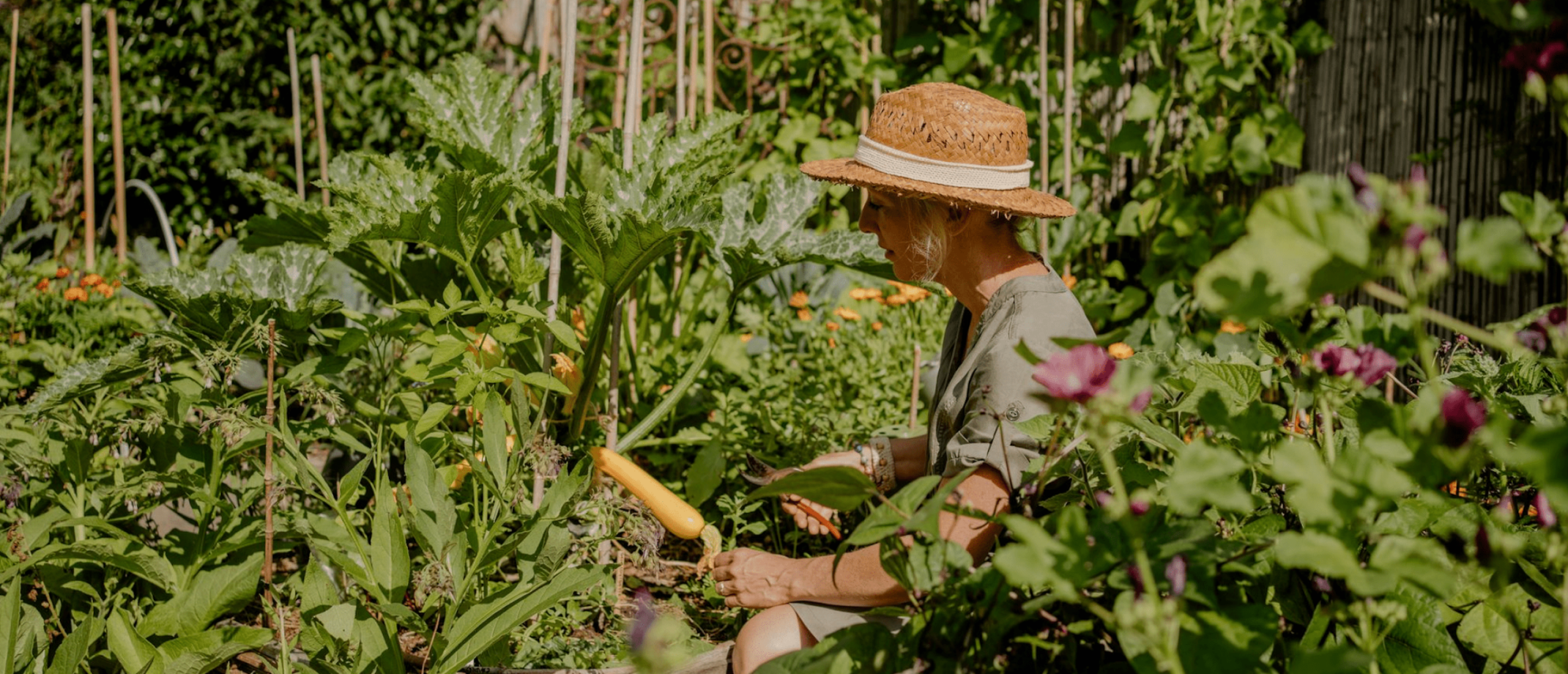Polycultuur in de moestuin