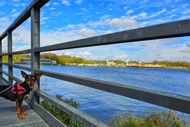 Wandelen in Temse: langs en over het water