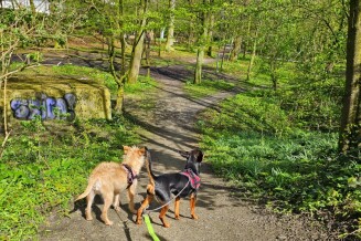 Wandelen in Temse: langs en over het water