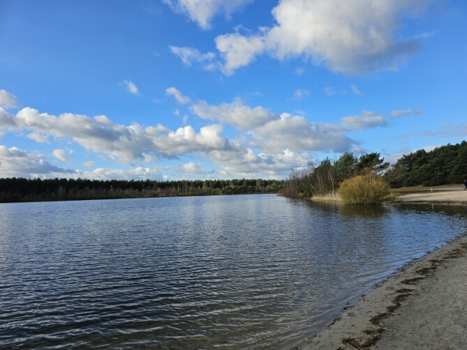 Wandeling door de Lommelse Sahara
