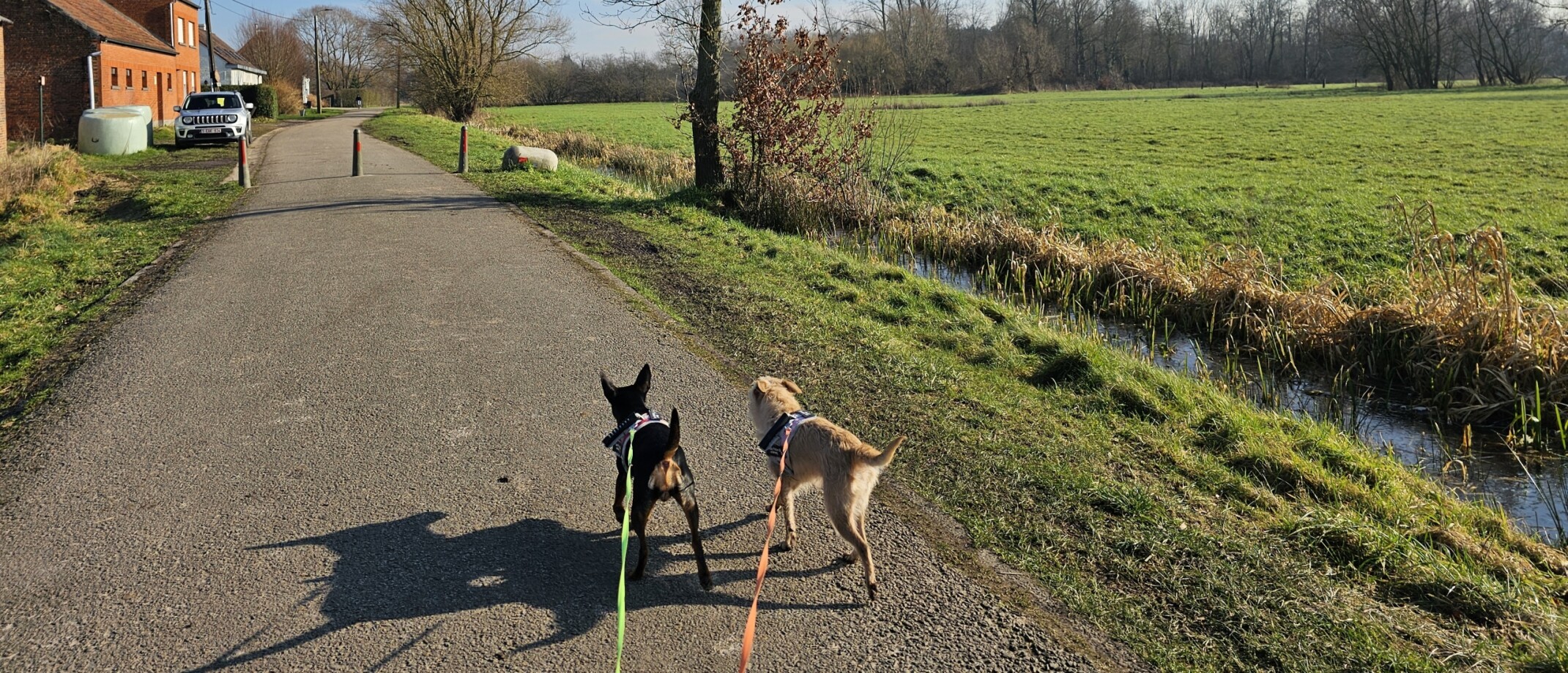 Het Mechels Broek in Mechelen (5 km - 9 km - 13,5 km)
