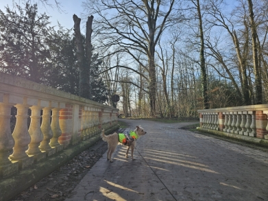 Het park en Peerdsbos in Brasschaat