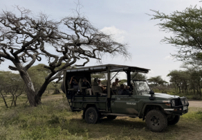 Tanzania Safari | Safari Holiday Tanzania | Makasa Tanzania Safari