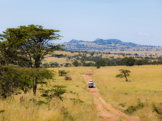 Makasa Tanzania Safaris | Tanzania Safari Company | About us