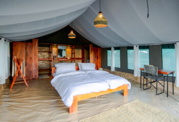 Makasa Tanzania Safaris | Tanzania Safari Company | About us