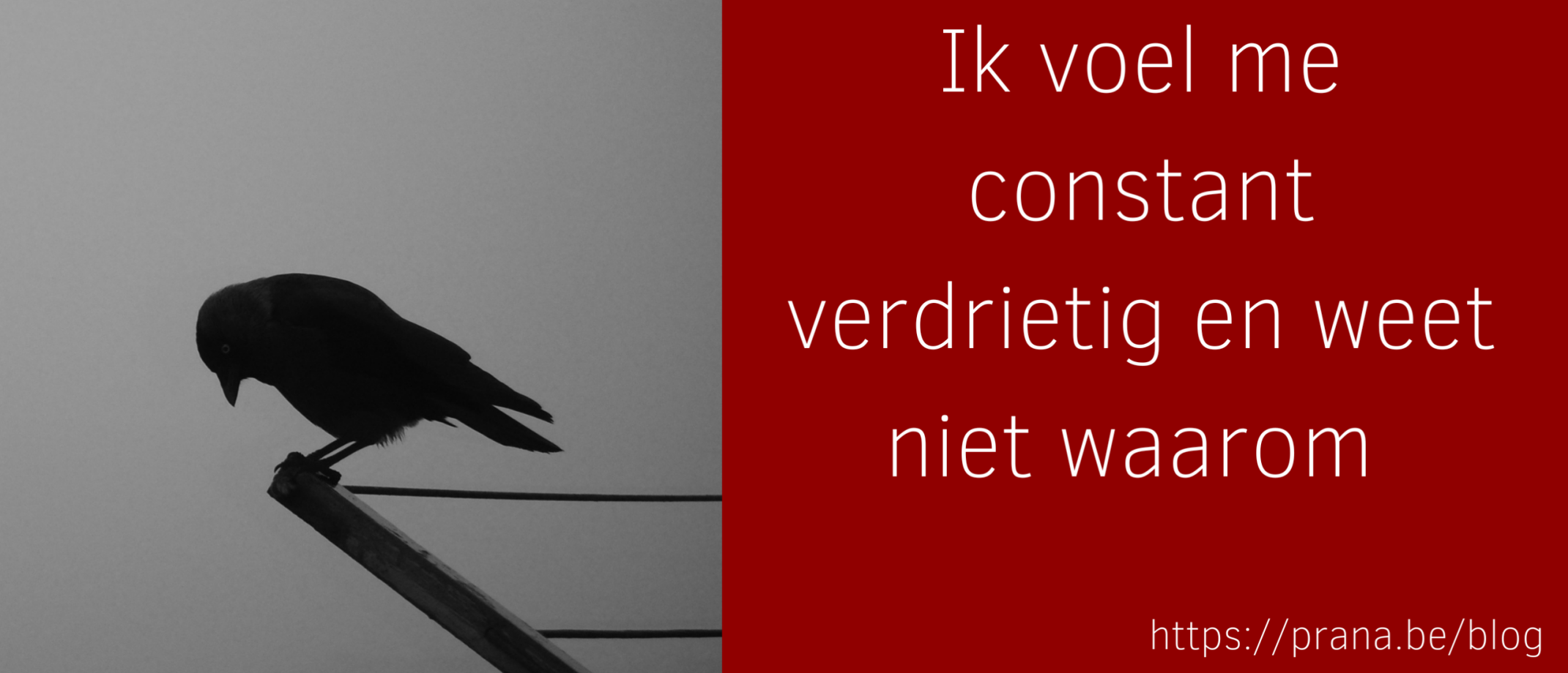 Onbewust verdriet achterhalen