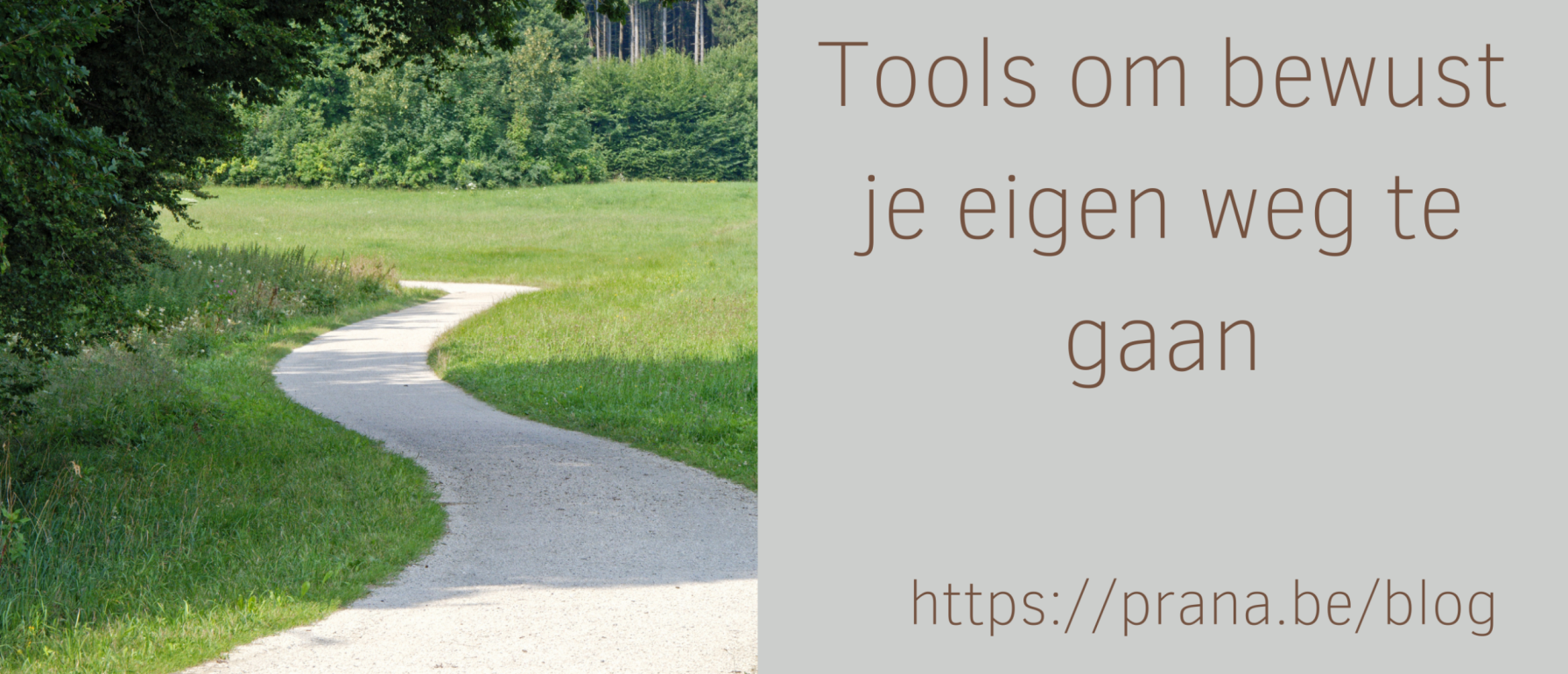 Bewust kiezen voor jouw droom