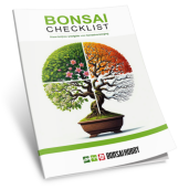 Bonsai verzorging: wat doe je in welke maand?