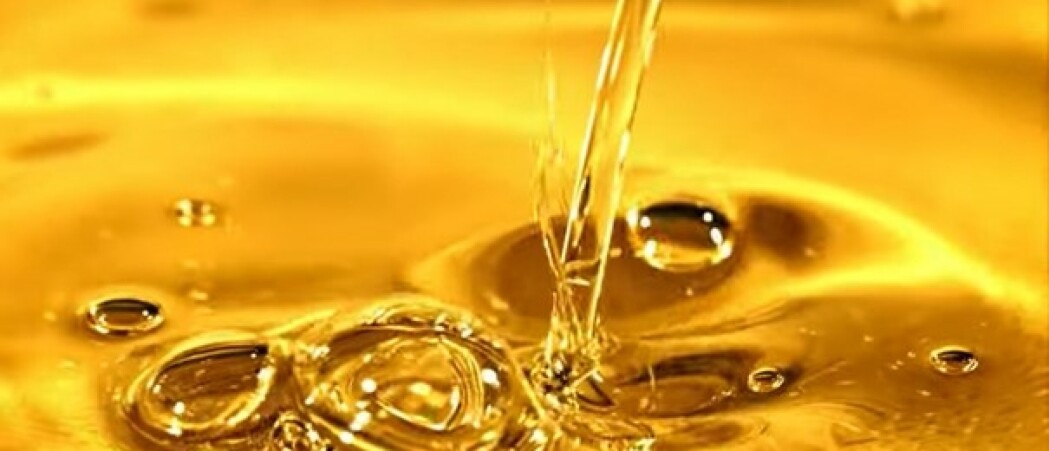 Enhancing Food Processing Efficiency with Synthetic Food-Grade Lubricants