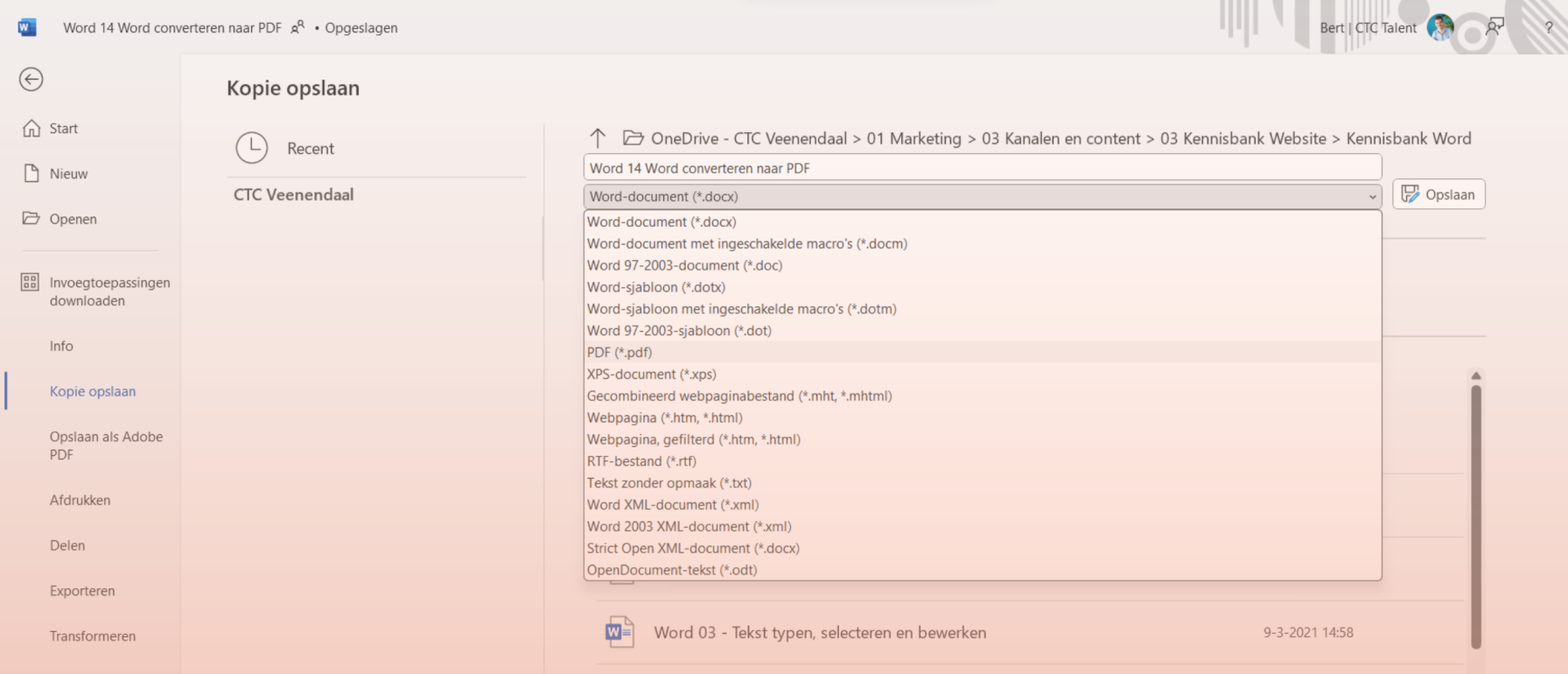 Hoe converteer je een Word-bestand naar pdf? Leer het hier!
