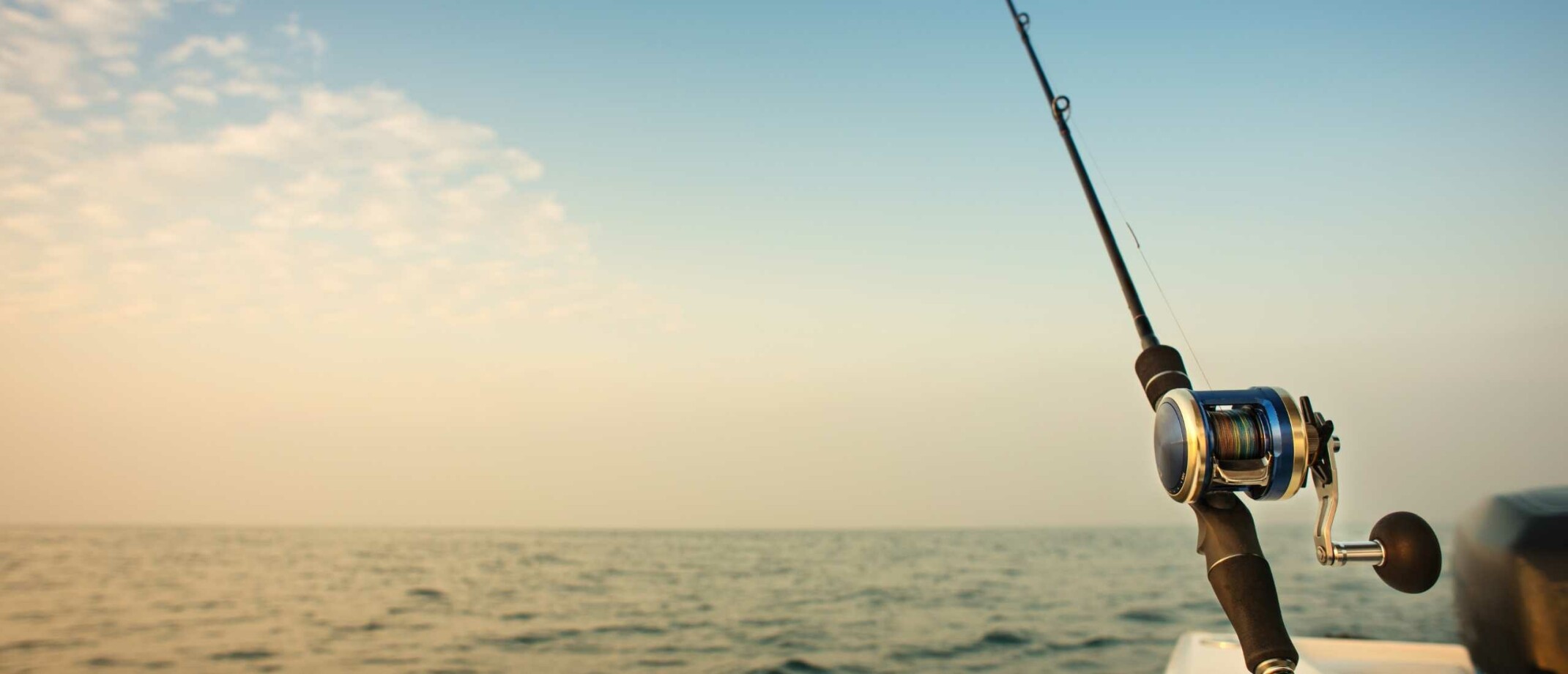 Sportvissen met de Rival - Beleef een onvergetelijke viservaring