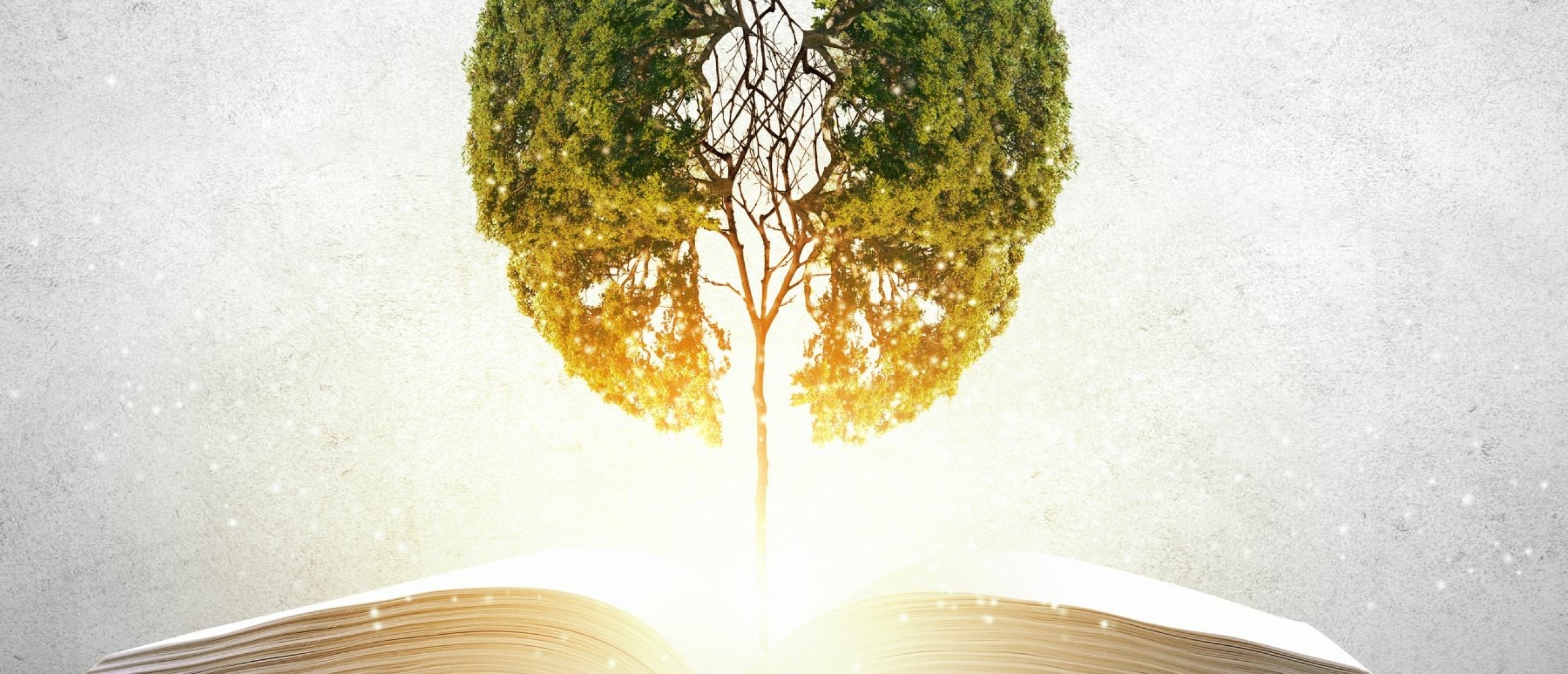 7 manieren om een mindset van overvloed te ontwikkelen