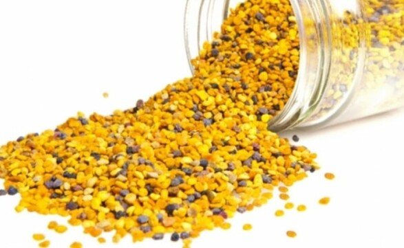 Bijenpollen kopen? Alle gezondheidsvoordelen van bijenpollen waar je ...