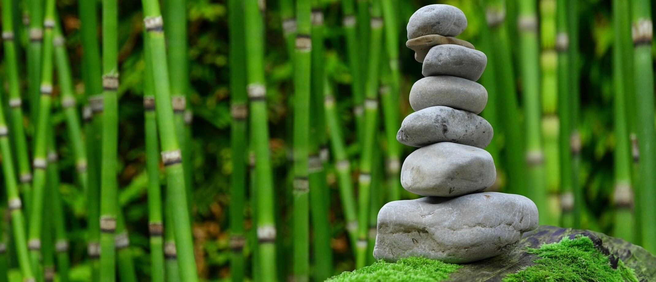 DIT IS WAT MASSAGETHERAPEUTEN MOETEN WETEN OVER APENPOKKEN (MONKEYPOX)